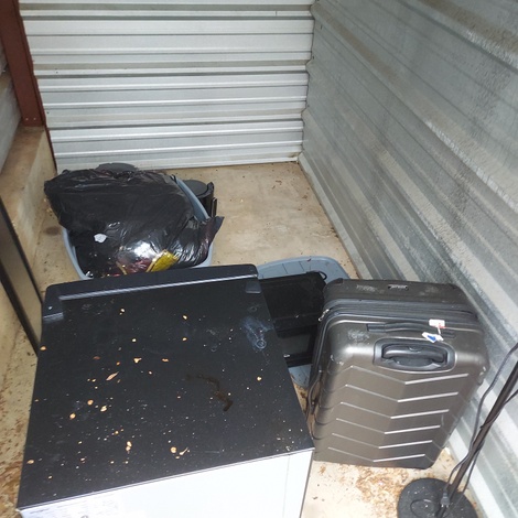 Storage Auctions in Georgia, United States